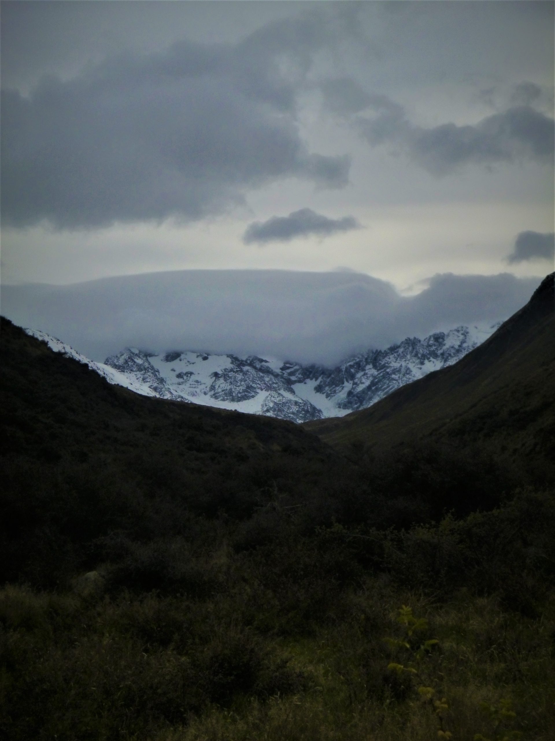 The Mountains View - Mt Harper(1829m) - NZ Hikes