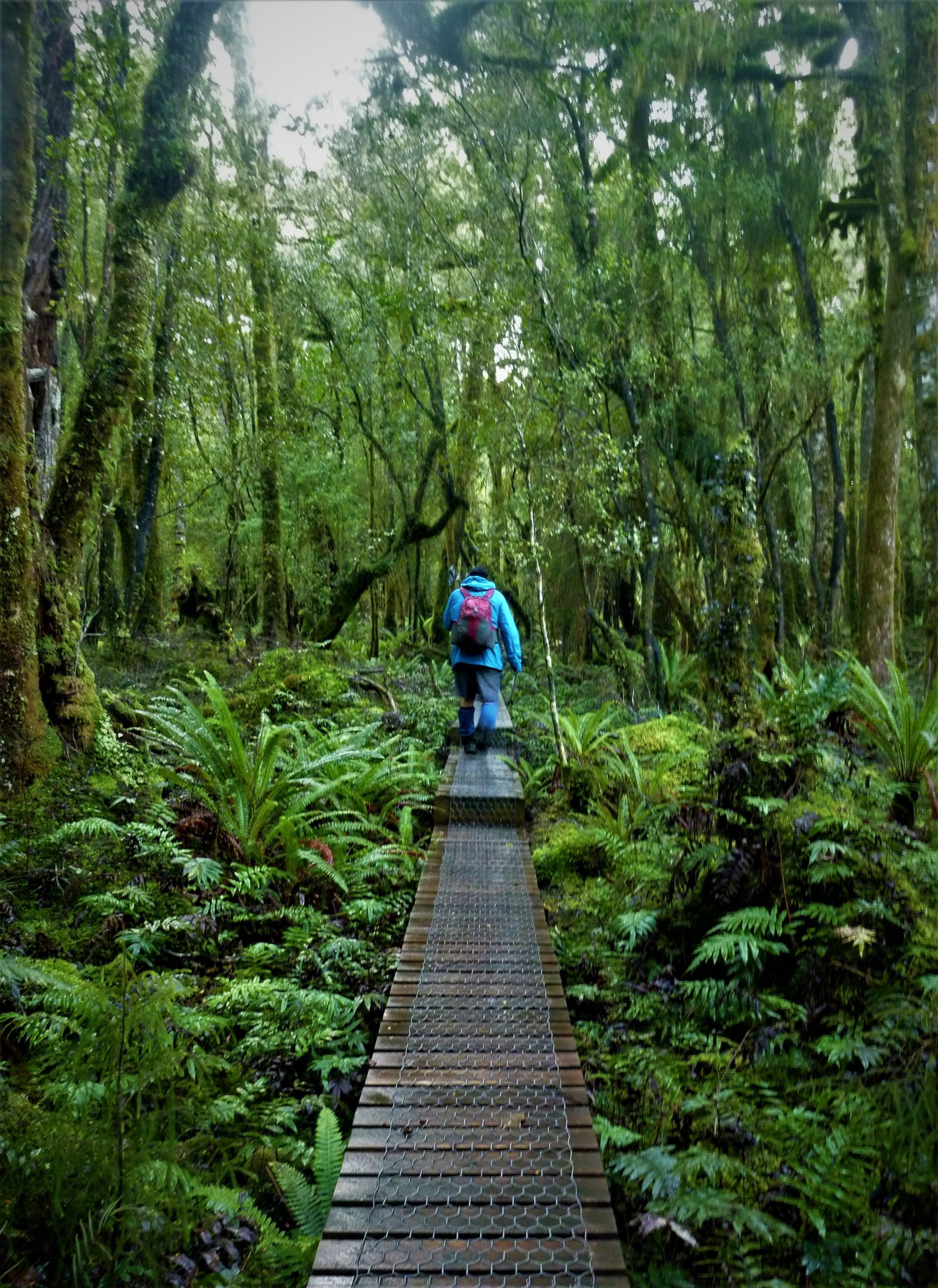 Crowded Crags - Part One - NZ Hikes