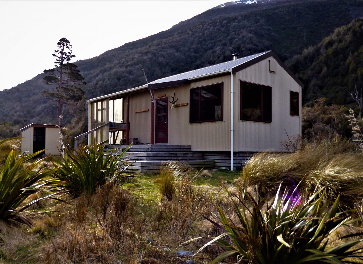 A Small Taste of West Coast Tramping - Grassy Flat Hut - NZ Hikes