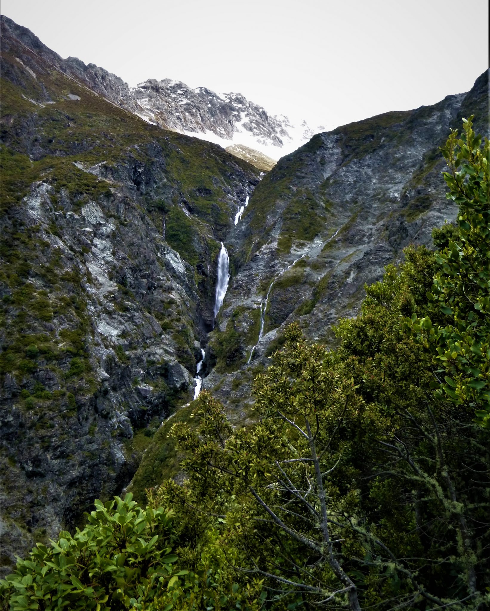 The Forgotten Falls – Wakefield Falls(230m) | NZ Hikes
