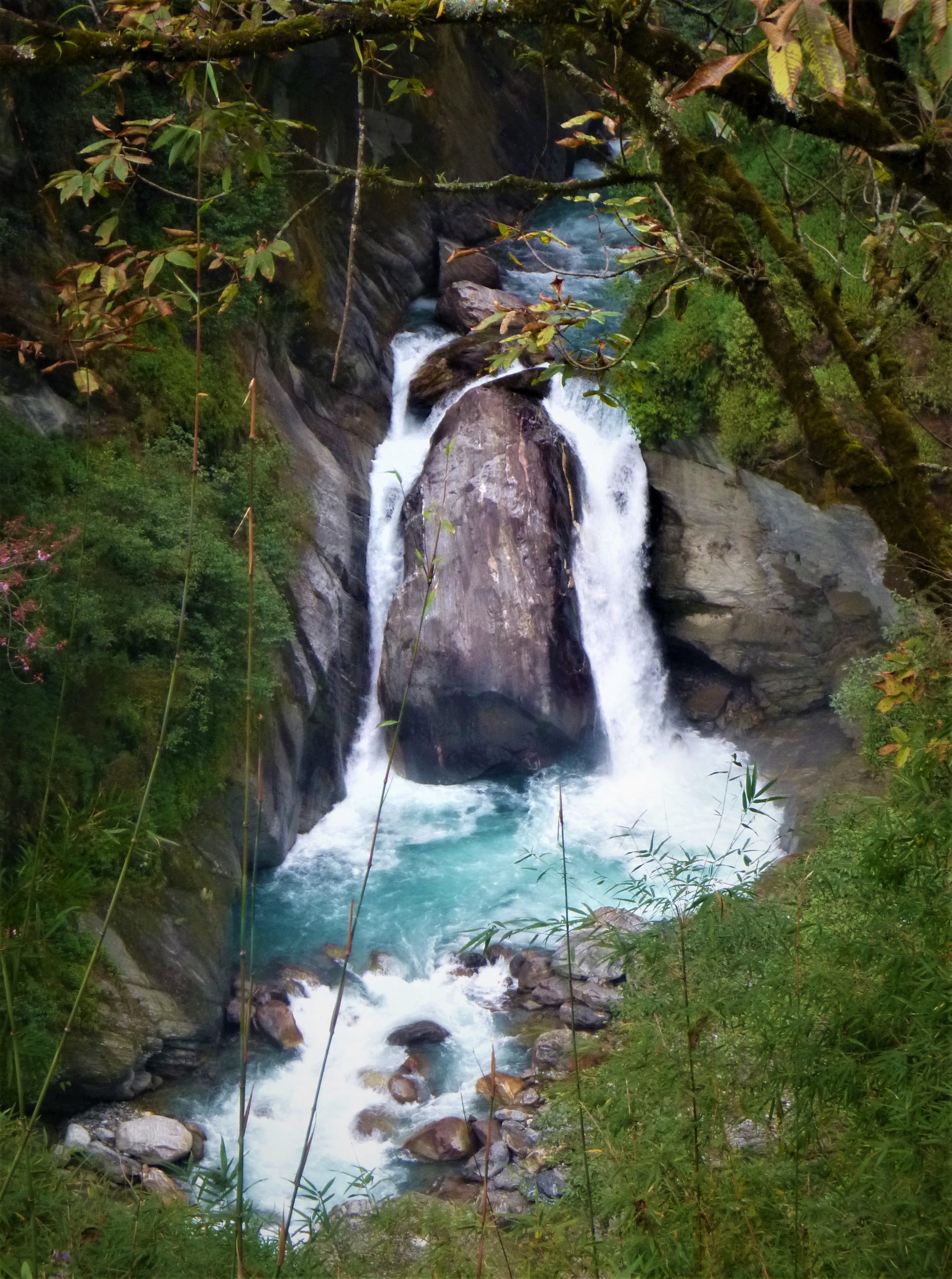 Gurdel to Himalayan Trekker Lodge - NZ Hikes