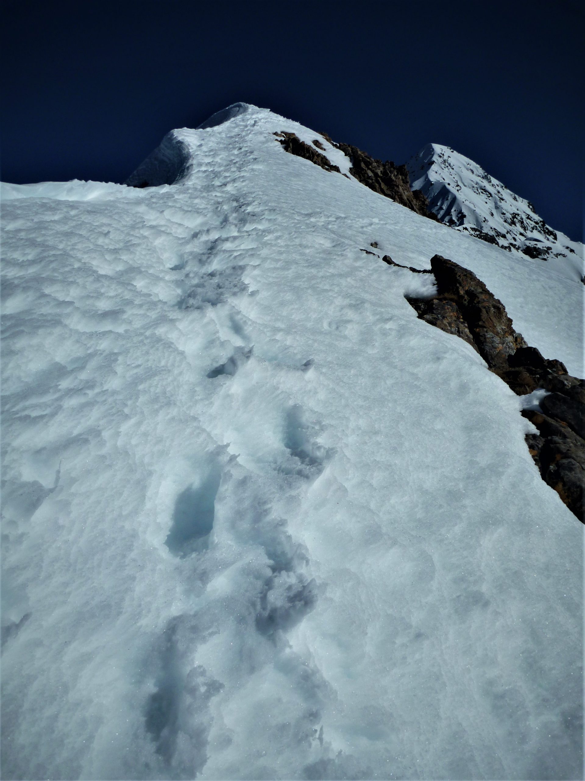 Rome Ridge - NZ Hikes