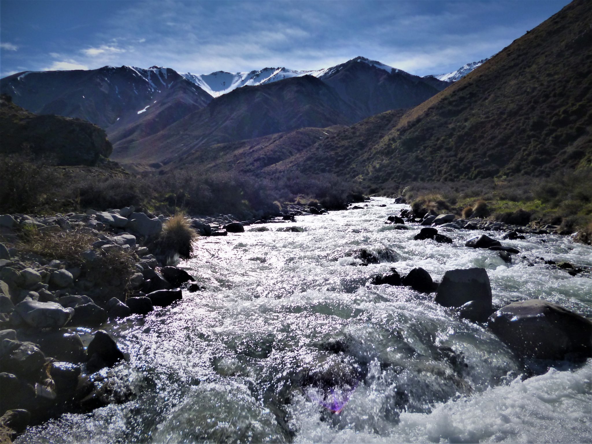 Bare, Barren and Beautiful - Swin River Camp - NZ Hikes