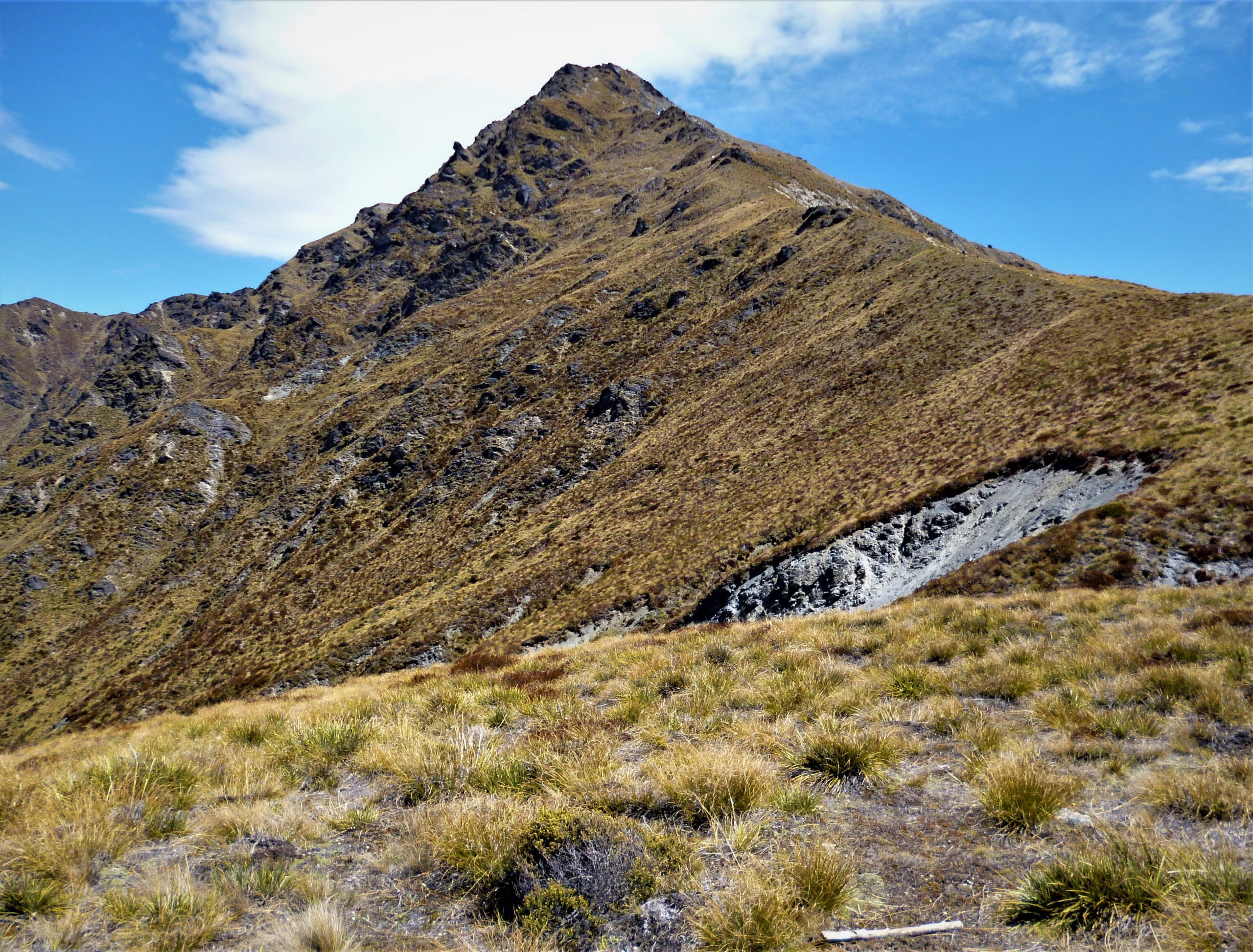 Ben Lomond(1748m) - Climbing the Iconic Queenstown Peak - NZ Hikes