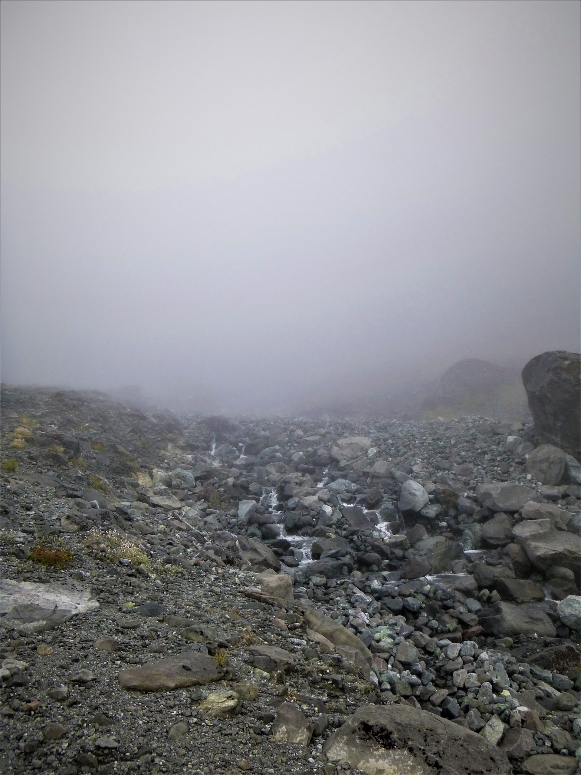 The Mailman's Way (Part One) - Homer Saddle(1375m) - NZ Hikes