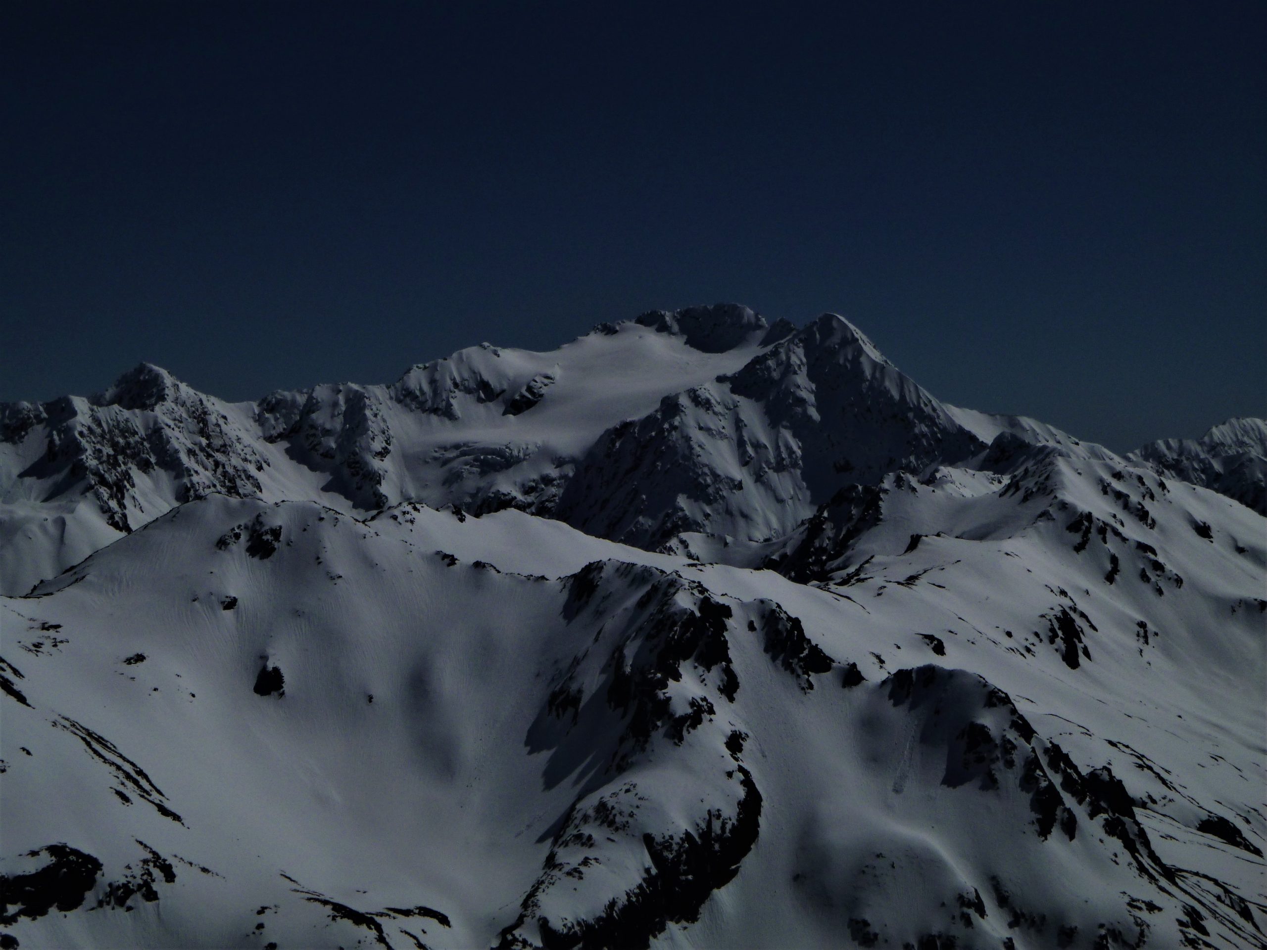 Chamois and Glissading - Mt Bealey(1836m) - NZ Hikes