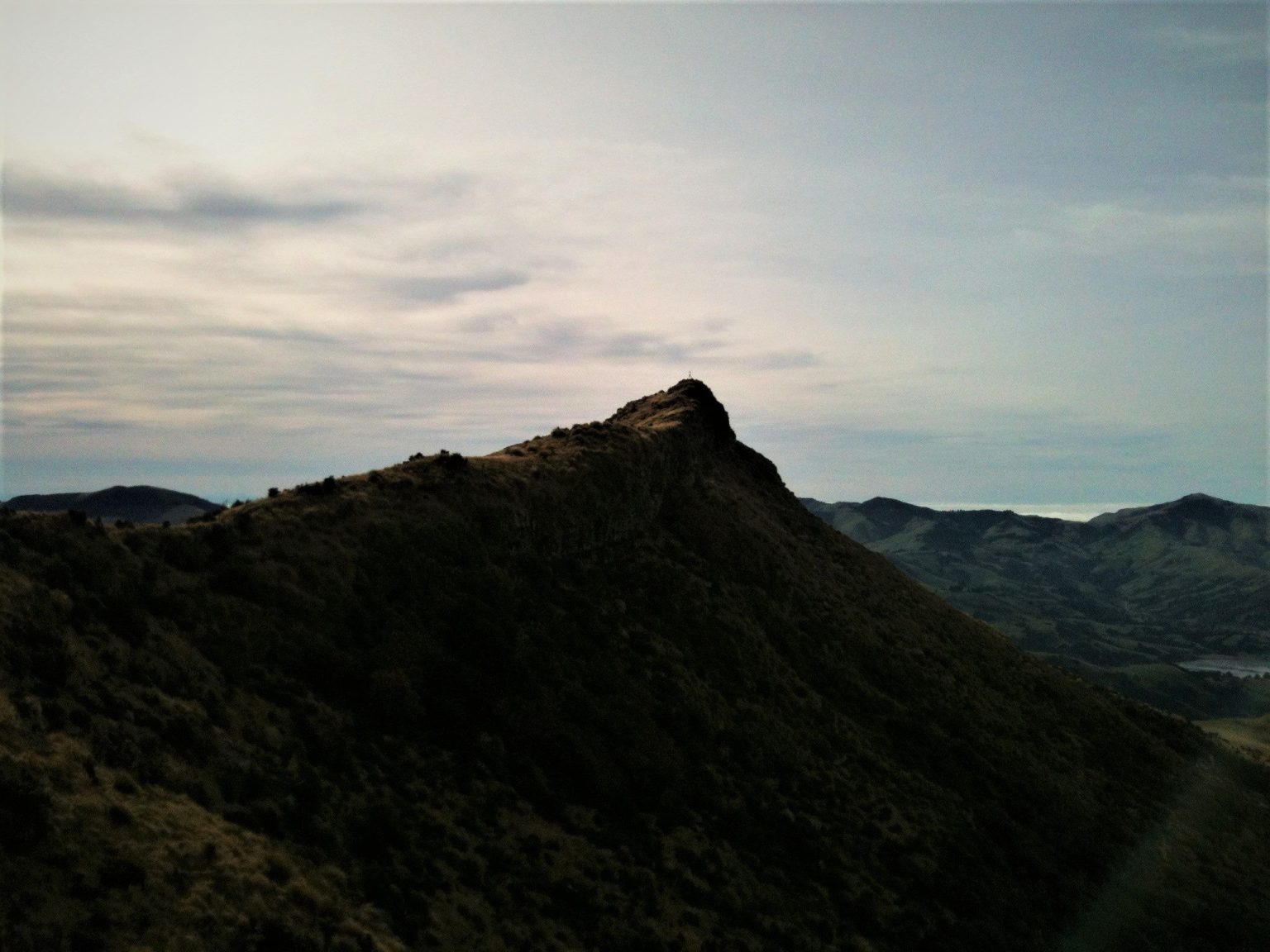 Barbwire and Bush Bashing – Saddle Hill(841m) | NZ Hikes