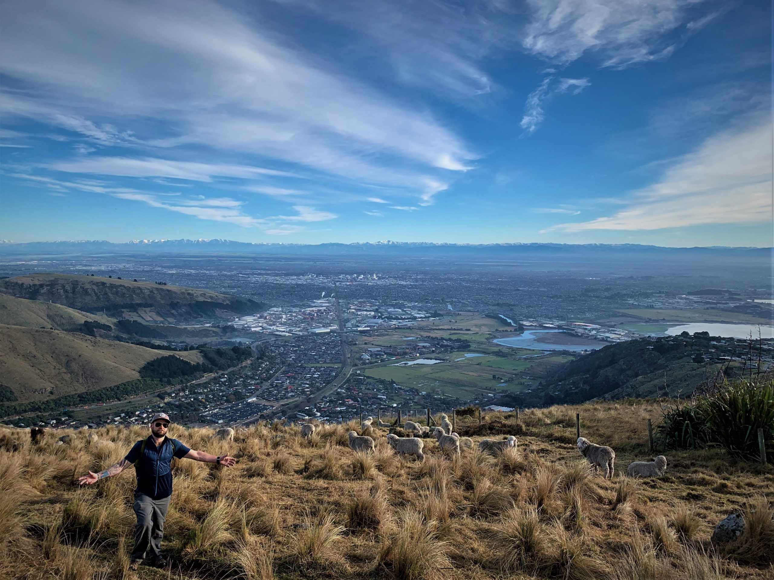 Hiking on History - Bridle Path Walkway - NZ Hikes