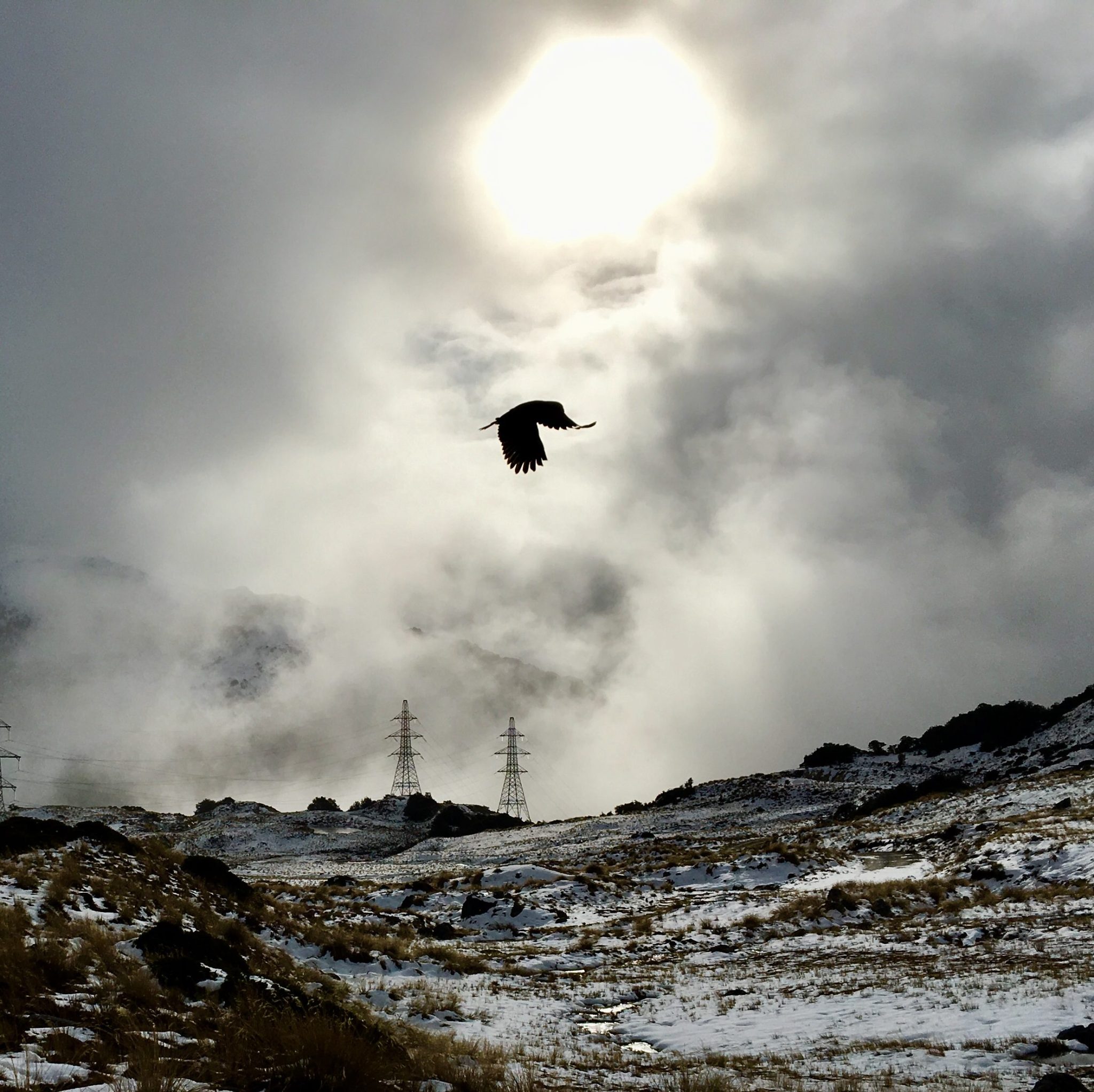 Out Numbered and Surrounded – Kea Camp on Percy Saddle (Part Two) | NZ ...
