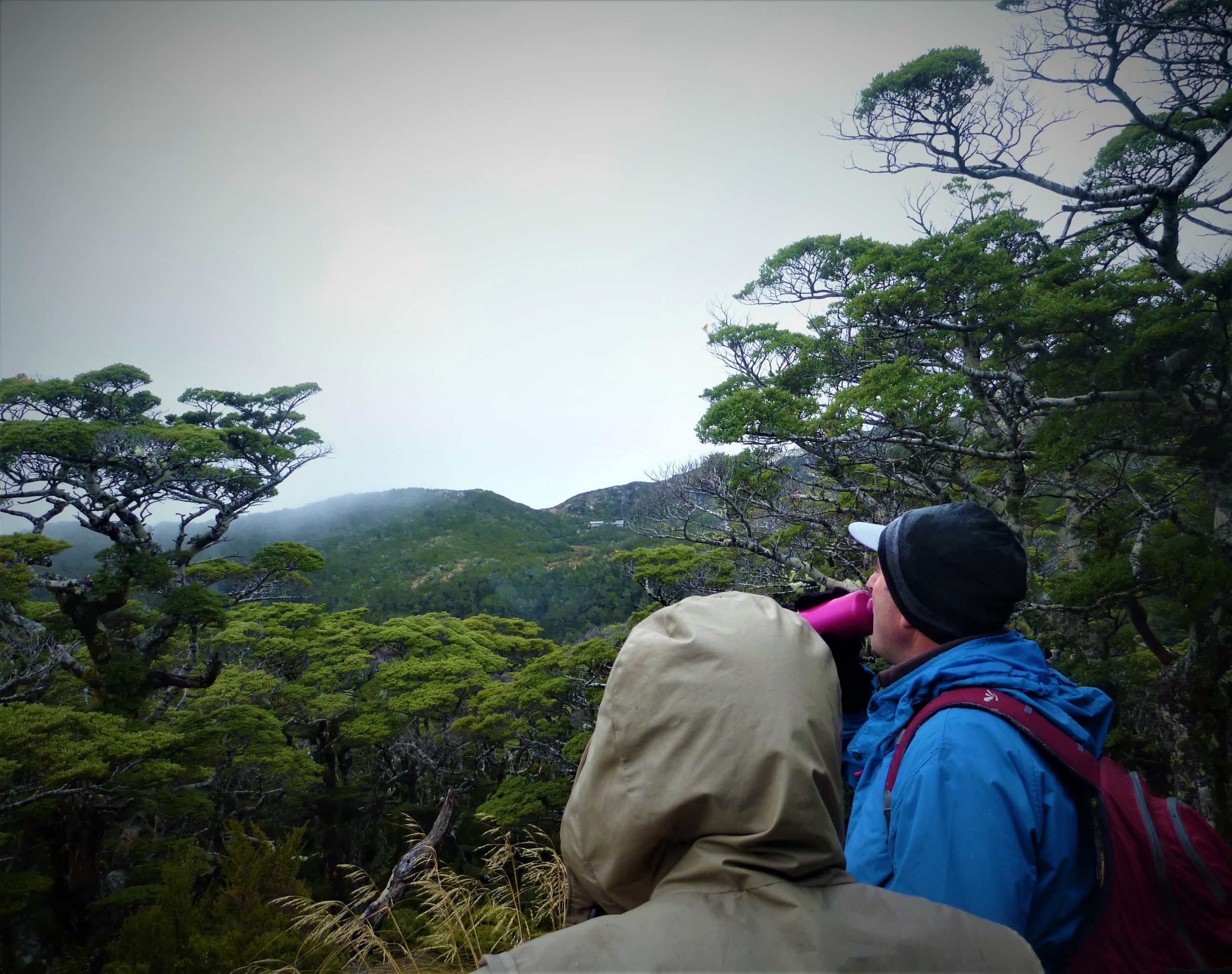 Everyday is Different (Part Three) – The Humpridge Track | NZ Hikes