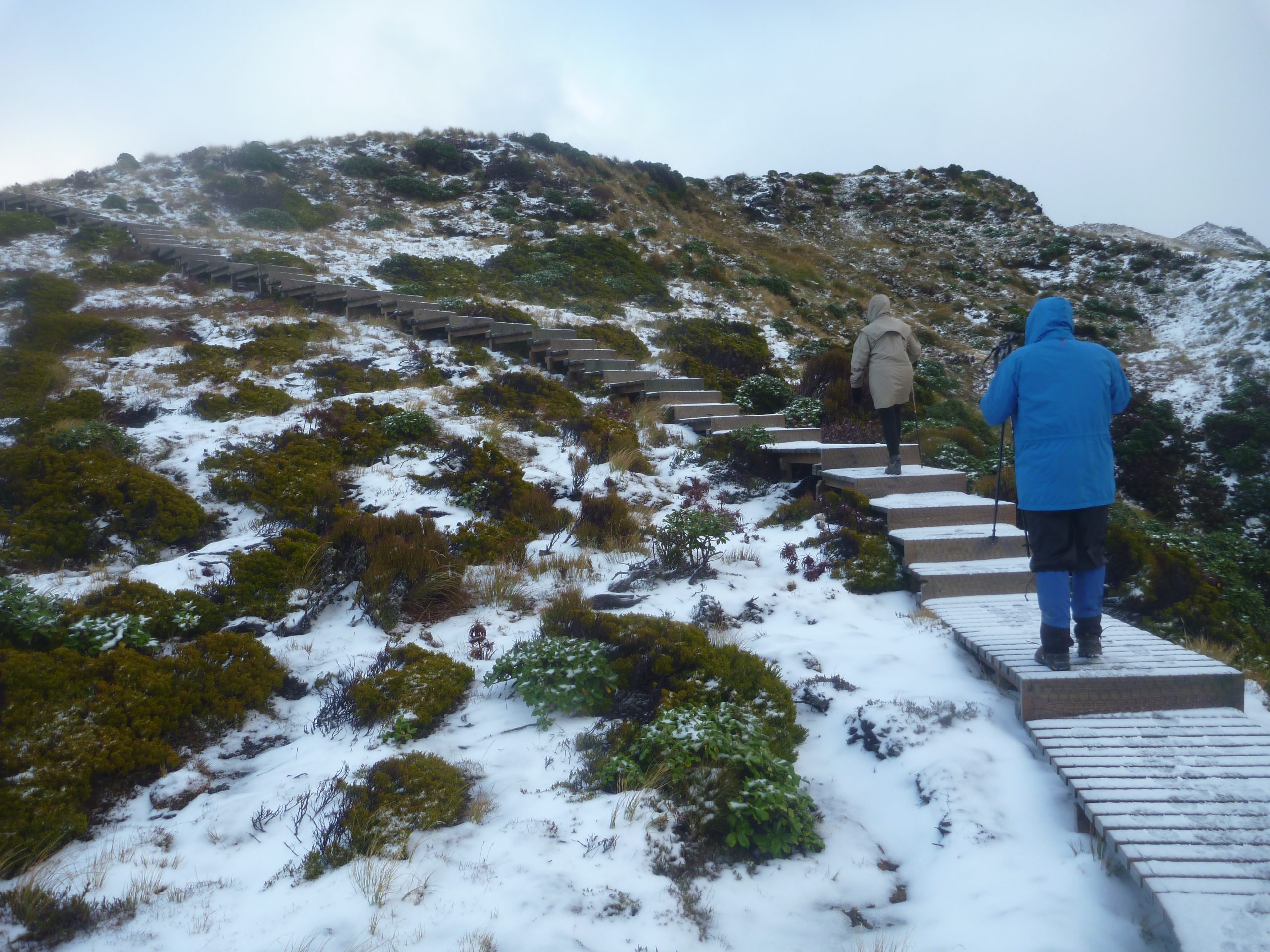 Everyday is Different (Part Four) – The Humpridge Track | NZ Hikes