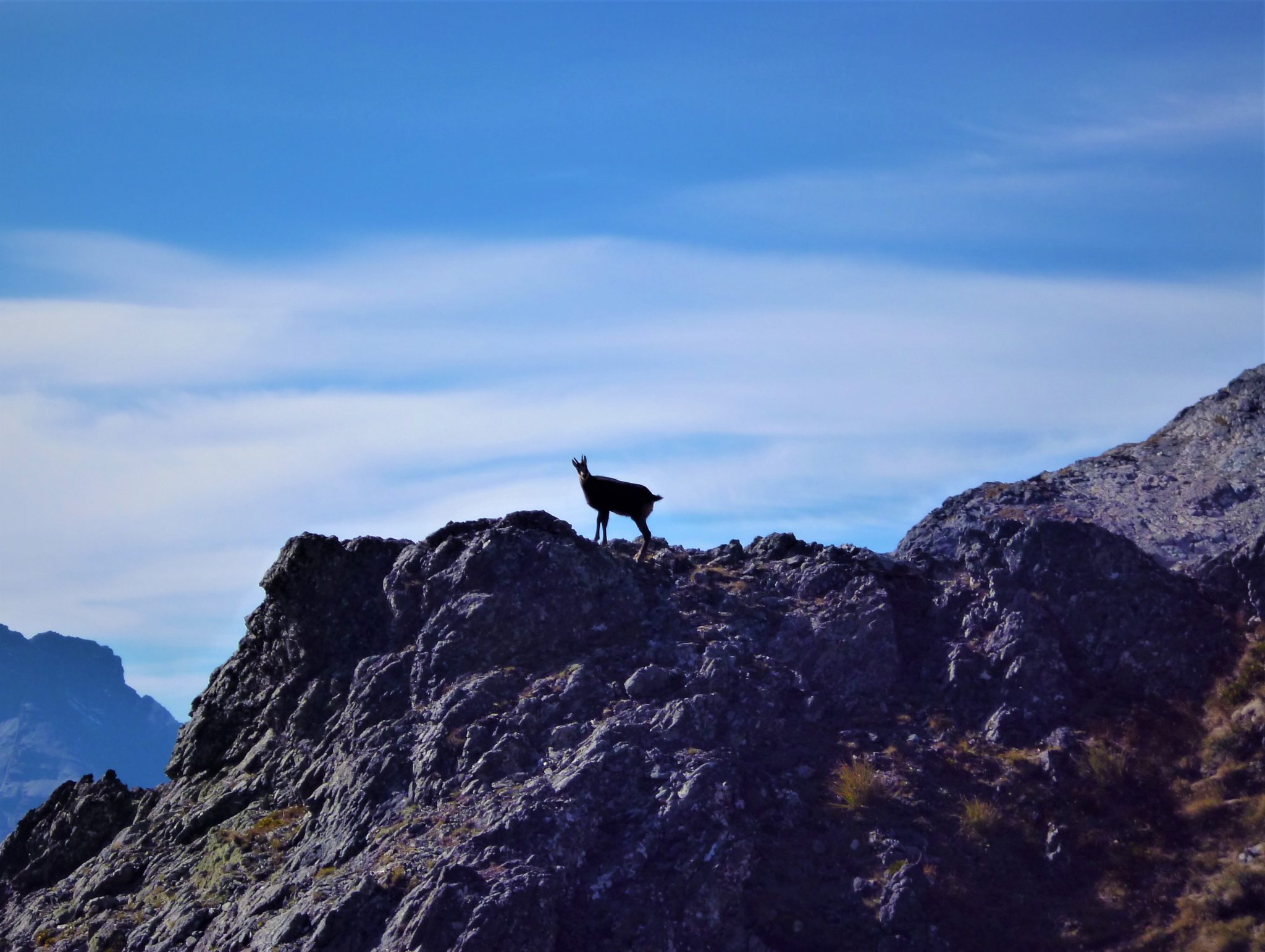 The Other Way Home (Part Two) - Emily Pass(1607m) - NZ Hikes