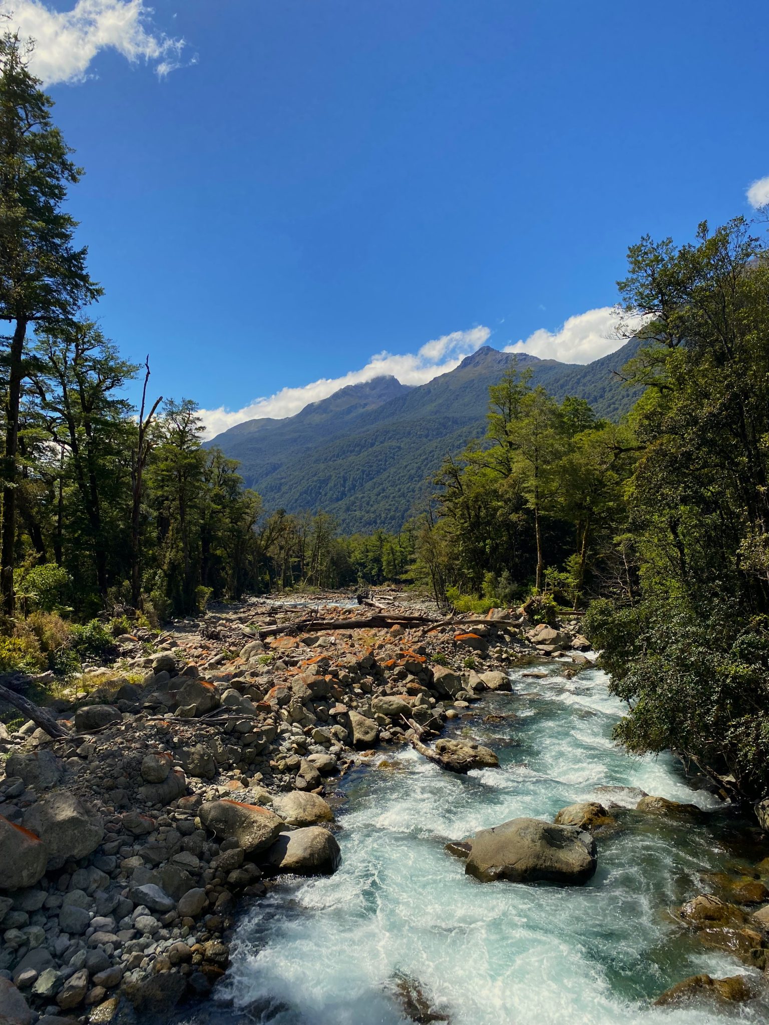 Three-Wire Bridge (Part One) - Hollyford Valley - NZ Hikes