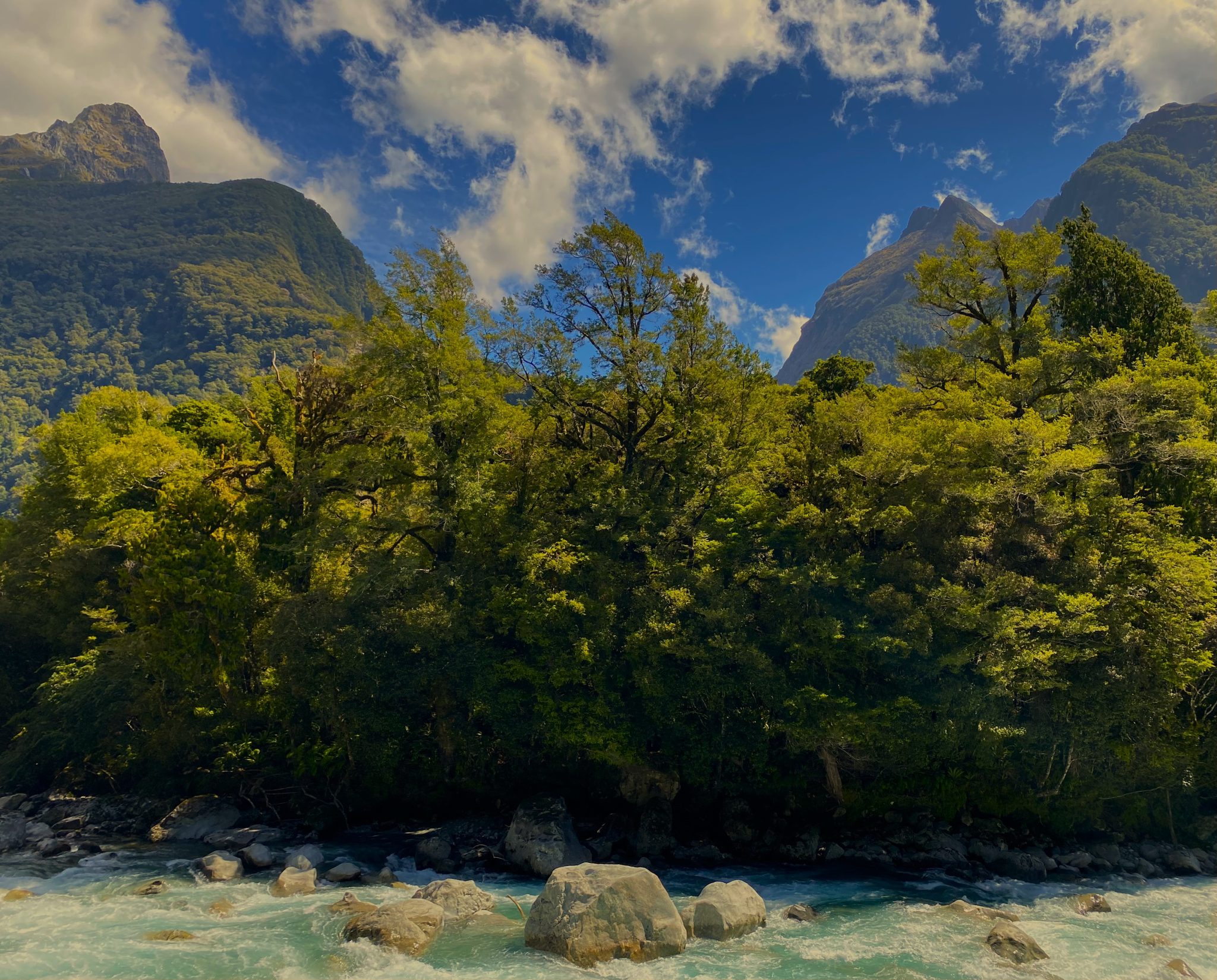 Three-Wire Bridge (Part Two) - Hollyford Valley - NZ Hikes